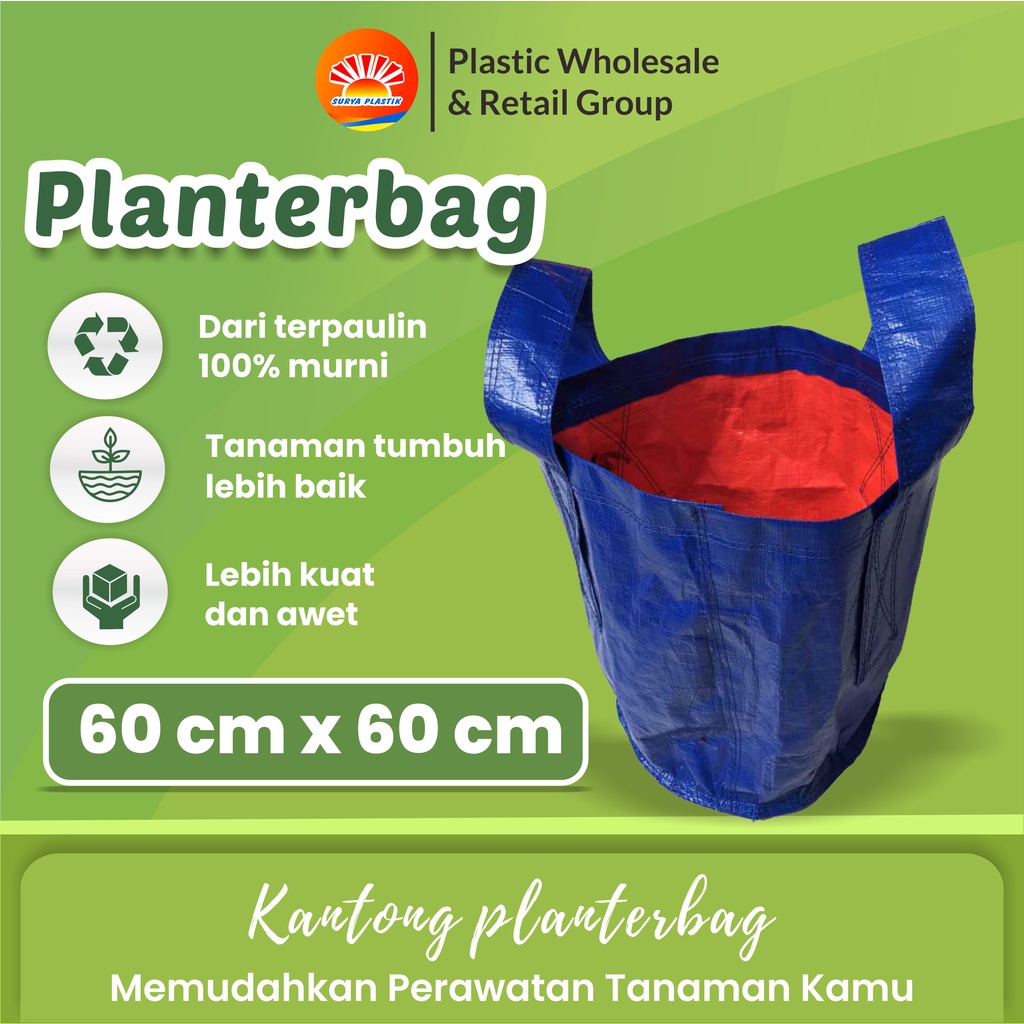 Jual PLANTERBAG TERPAL UKURAN 60X60 | Shopee Indonesia