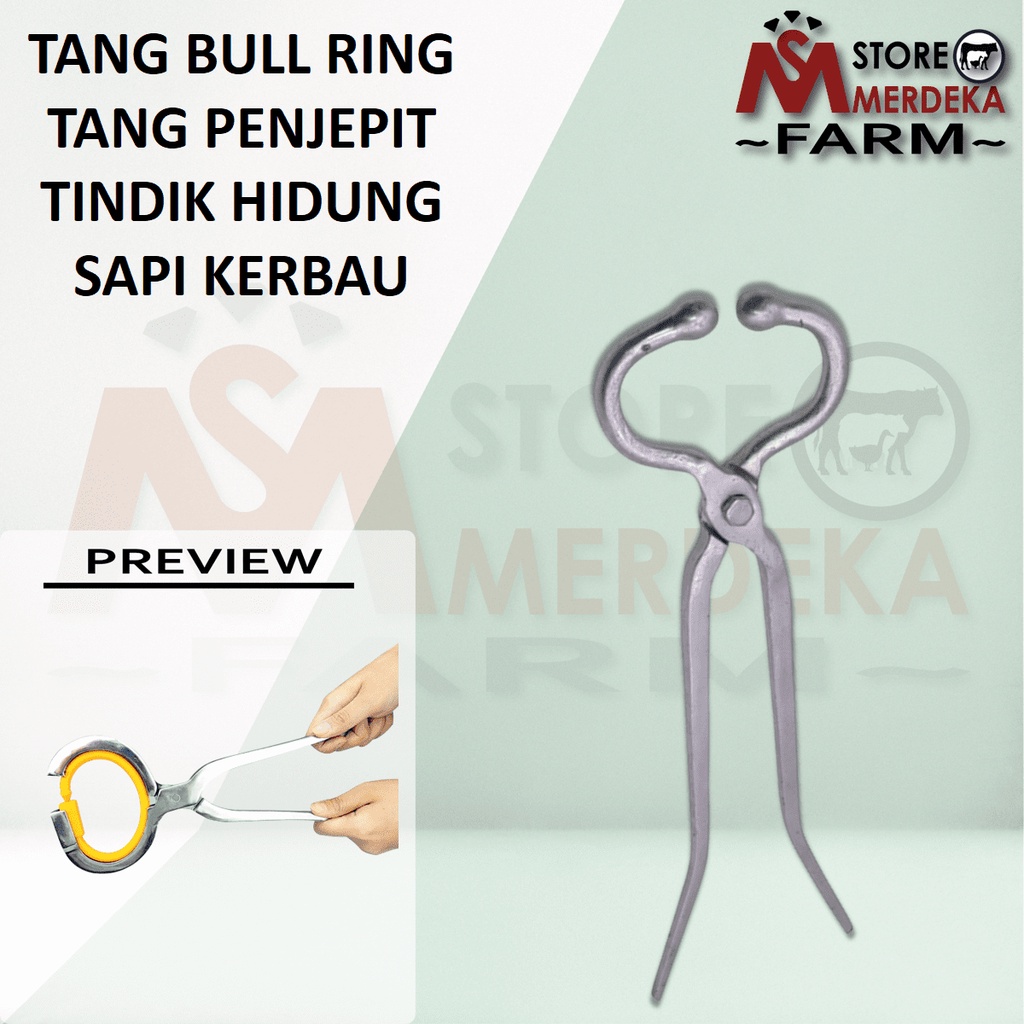 Jual Tang Bull Ring Tang Penjepit Tindik Hidung Sapi Kerbau | Shopee ...