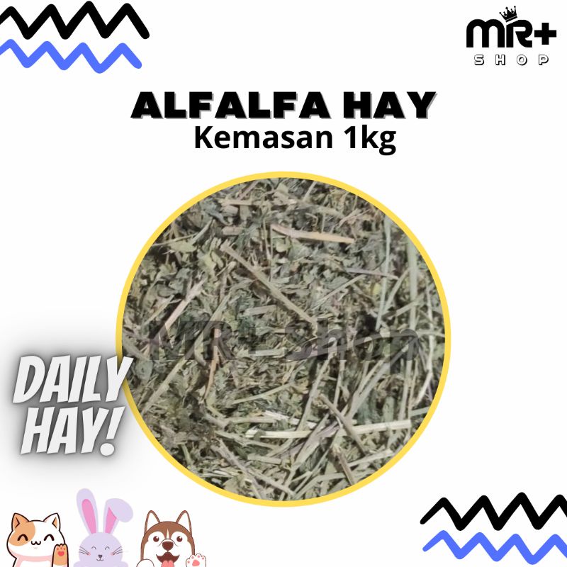 Jual Makanan Kelinci Rumput Alfalfa Daily Hay 100% Organic 1Kg | Shopee ...