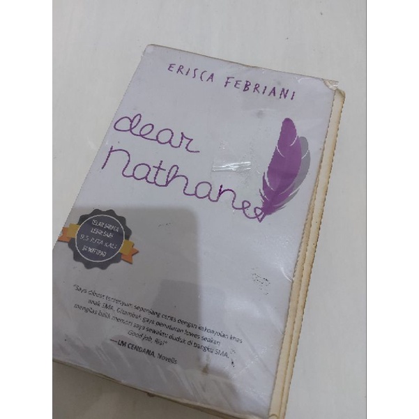 Jual (Preloved) Novel Bekas- Dear Nathan by Erisca Febriani (First edition) | Shopee Indonesia