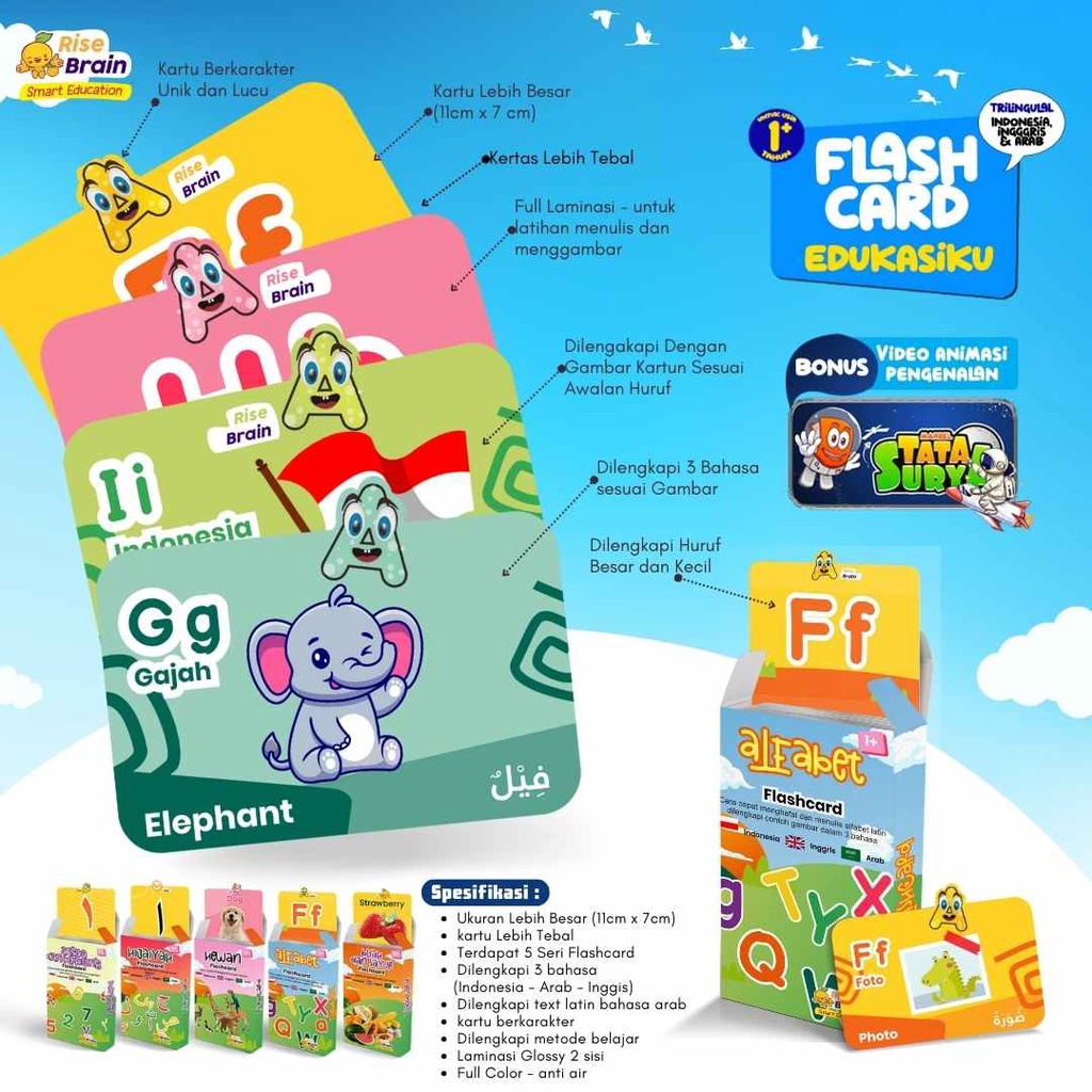 Jual FLASH CARD TEMA HEWAN ANAK FLASH CARD EDUKASI ANAK MURAH TEBAL ...