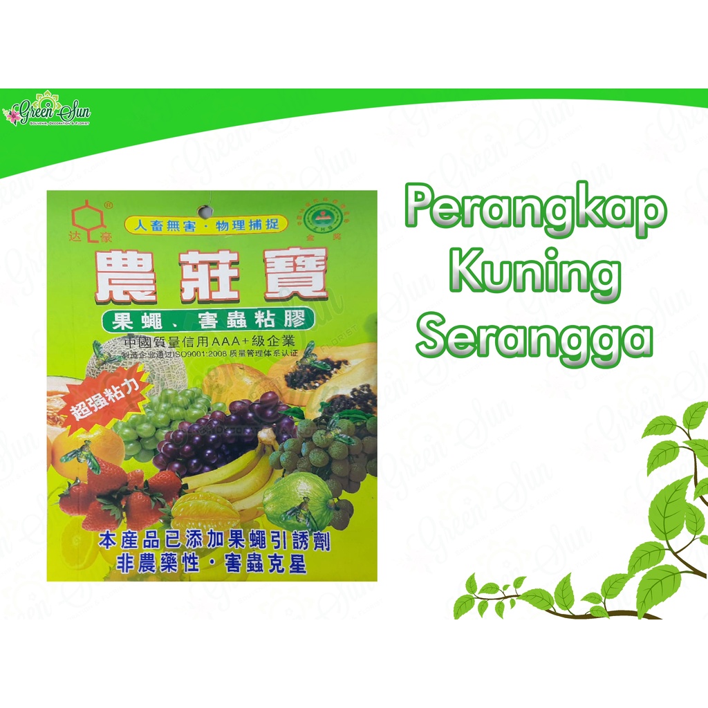 Jual Perangkap Kuning Serangga - 1 Lembar - Pembasmi Hama - Pembasmi ...