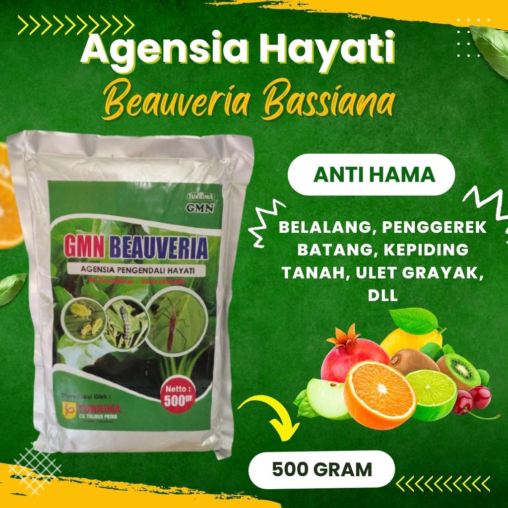 Jual Obat Semprot Pengendali Pembasmi Hama Gurem Semut Kupu Putih Ulat ...
