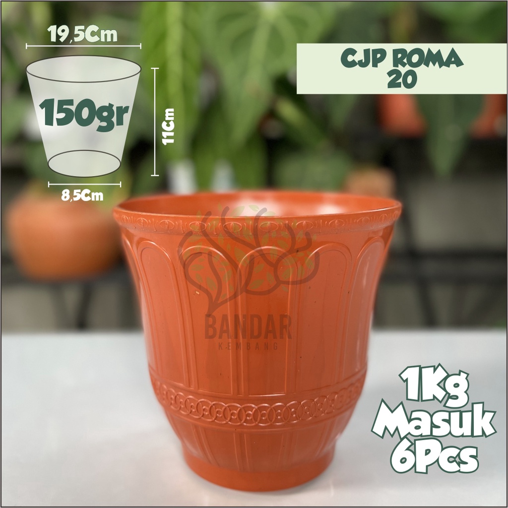 Jual pot bibit bunga tanaman hias CJP Roma 20 bagus untuk hiasan ...