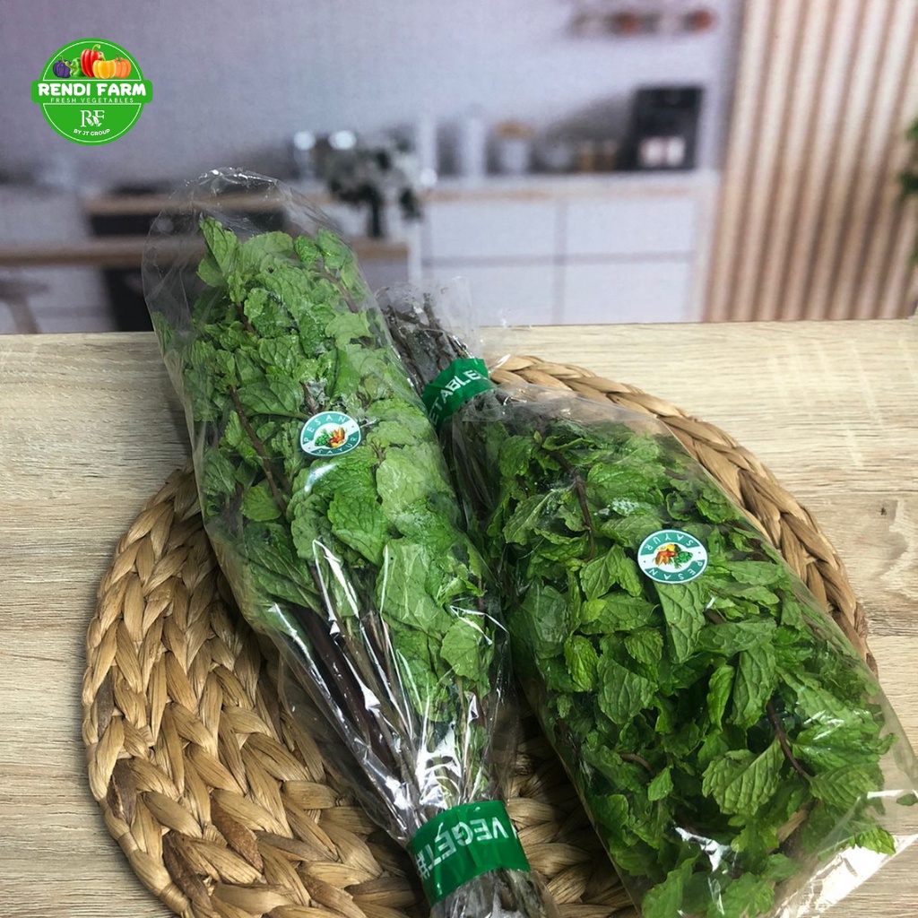 Jual DAUN SEGAR - DAUN MINT SEGAR UNTUK WILAYAH JAWA & JABODETABEK ...