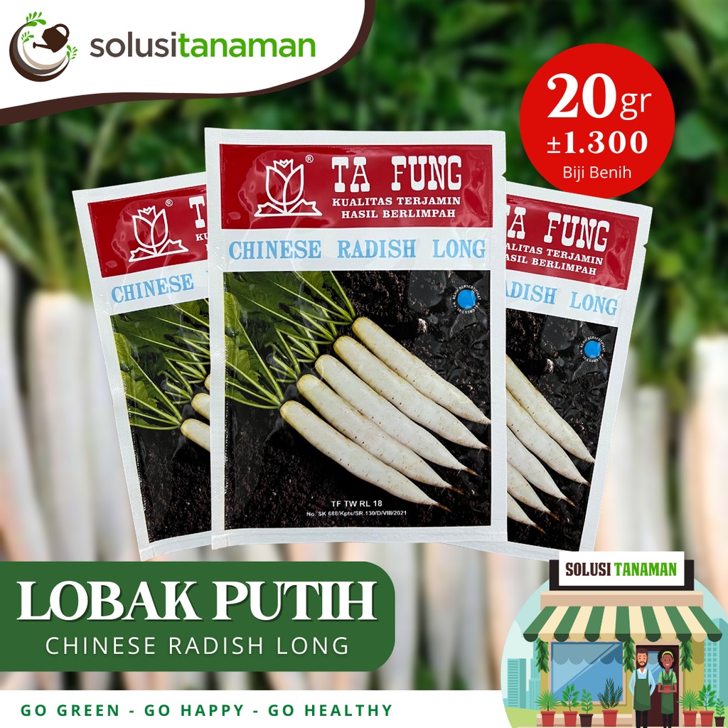 Jual Benih Lobak Chinese Radish Long 20gr (1.300 Biji) Benih Lobak Ta ...