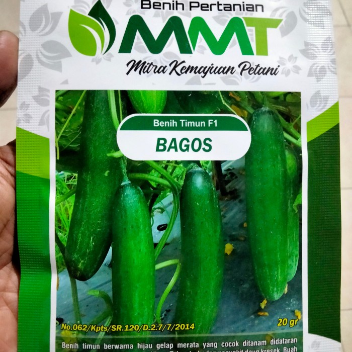 Jual Benih Timun F1 BAGOS MMT SEED 20 Gram - Bibit Timun BAGOS BAGUS ...