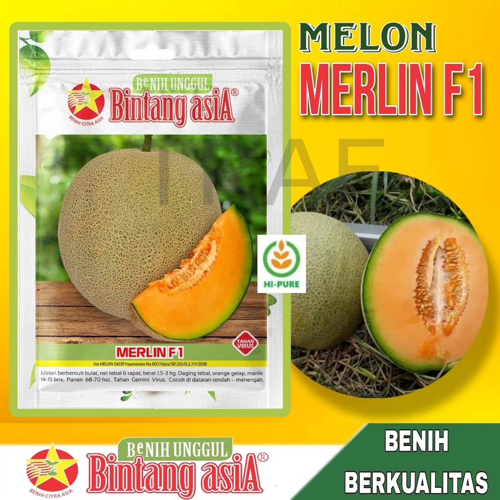 Jual Benih Melon Hibrida MERLIN 0.5 Gram Cap Bintang Asia PT Benih ...