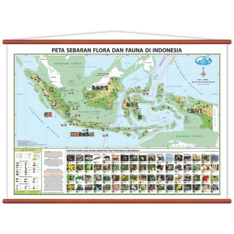 Jual PETA SEBARAN FLORA DAN FAUNA PETA TEMATIK | Shopee Indonesia