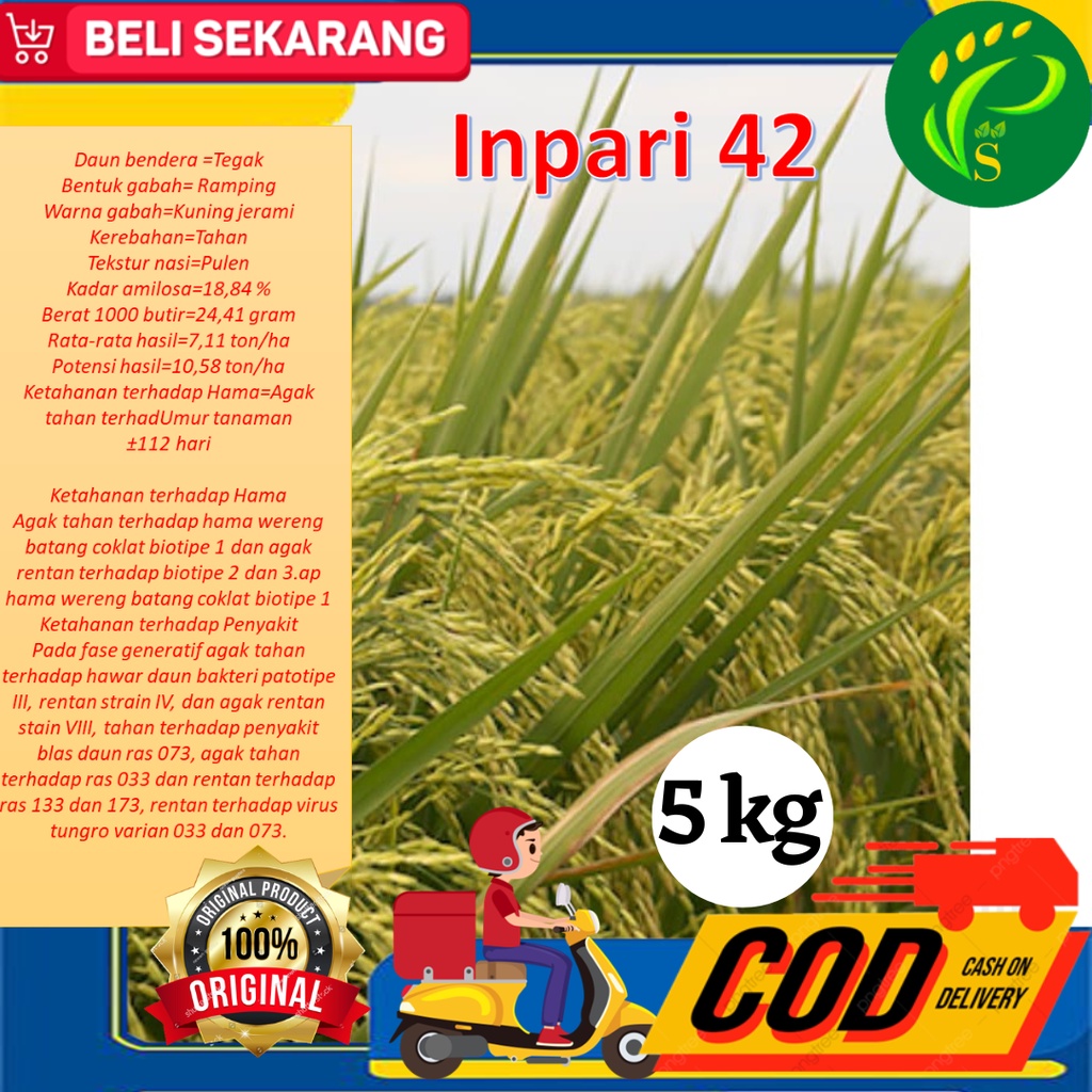 Jual Biji Padi Unggul inpari 42 5kg | Shopee Indonesia