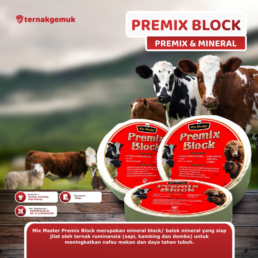 Jual MINERAL BLOK KAMBING DOMBA MIX MASTER PREMIX BLOK PENGGEMUK TERNAK ...