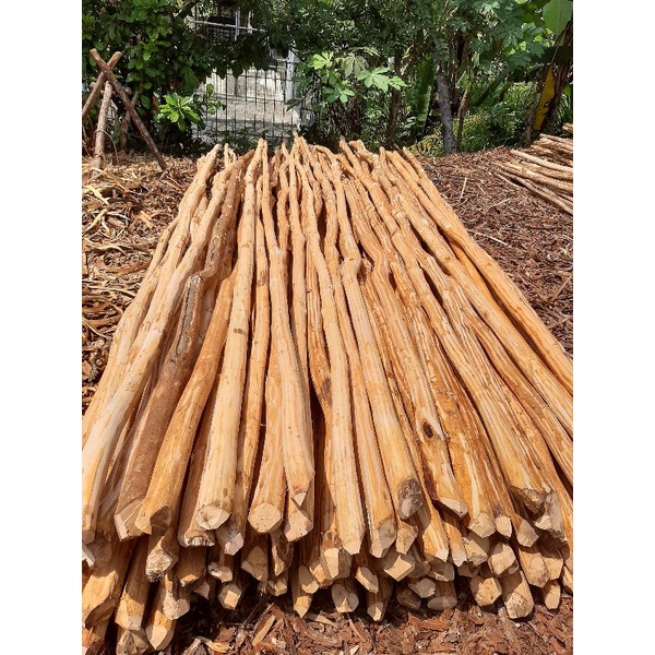Jual dolken kayu puspa/kayu keras ukuran bulatan 5,6 cm | Shopee Indonesia