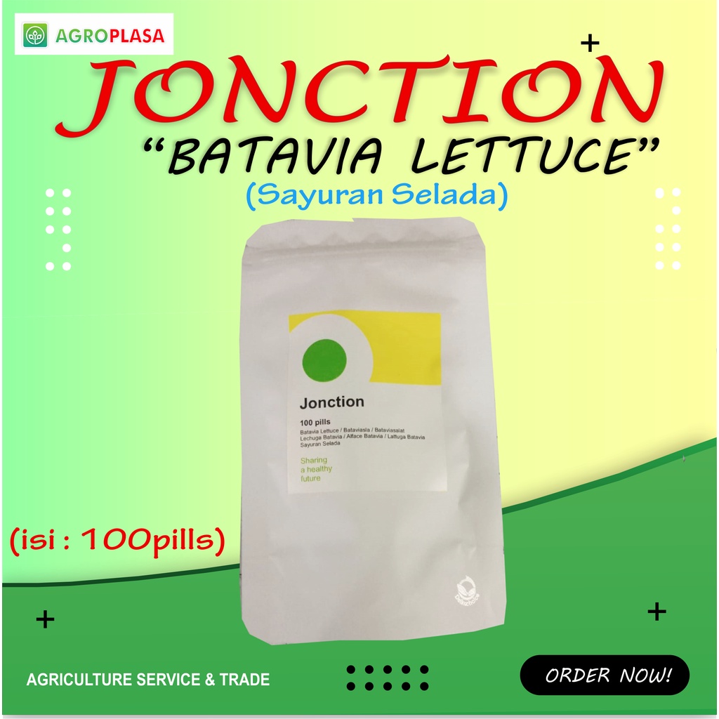 Jual Benih Selada Batavia Jonction Junction RZ 100pills | Shopee Indonesia