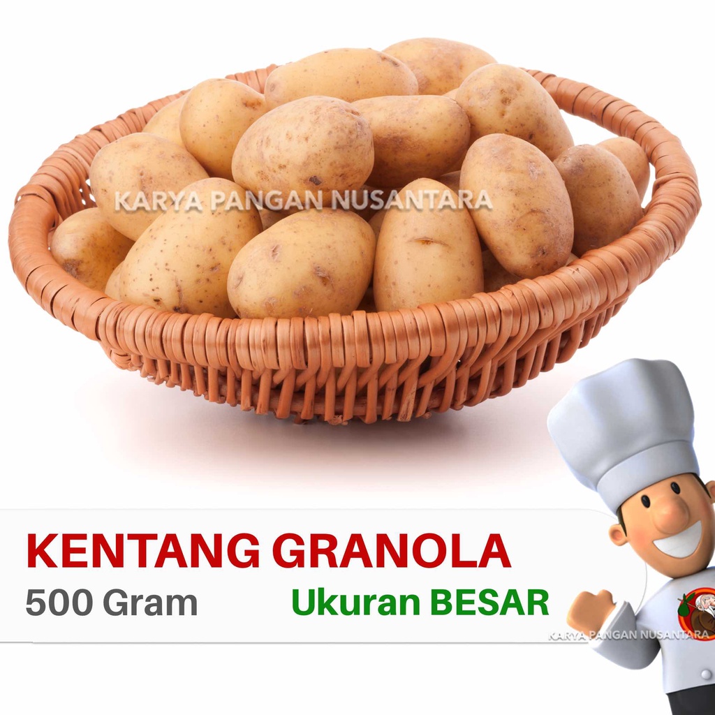 Jual KENTANG GRANOLA BESAR KENTANG BESAR GRANOLA KENTANG BUAH BERSIH ...
