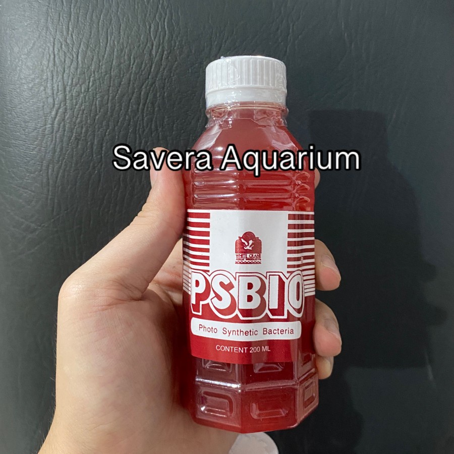 Jual PS BIO 200 ML - BAKTERI STARTER - BAKTERIA - PENJERNIH AIR ...