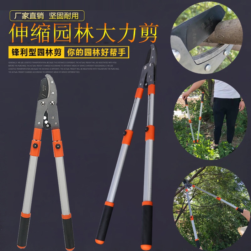 Jual Gunting Pohon Dahan Ranting Taman Telescopic Gagang Panjang Tinggi ...