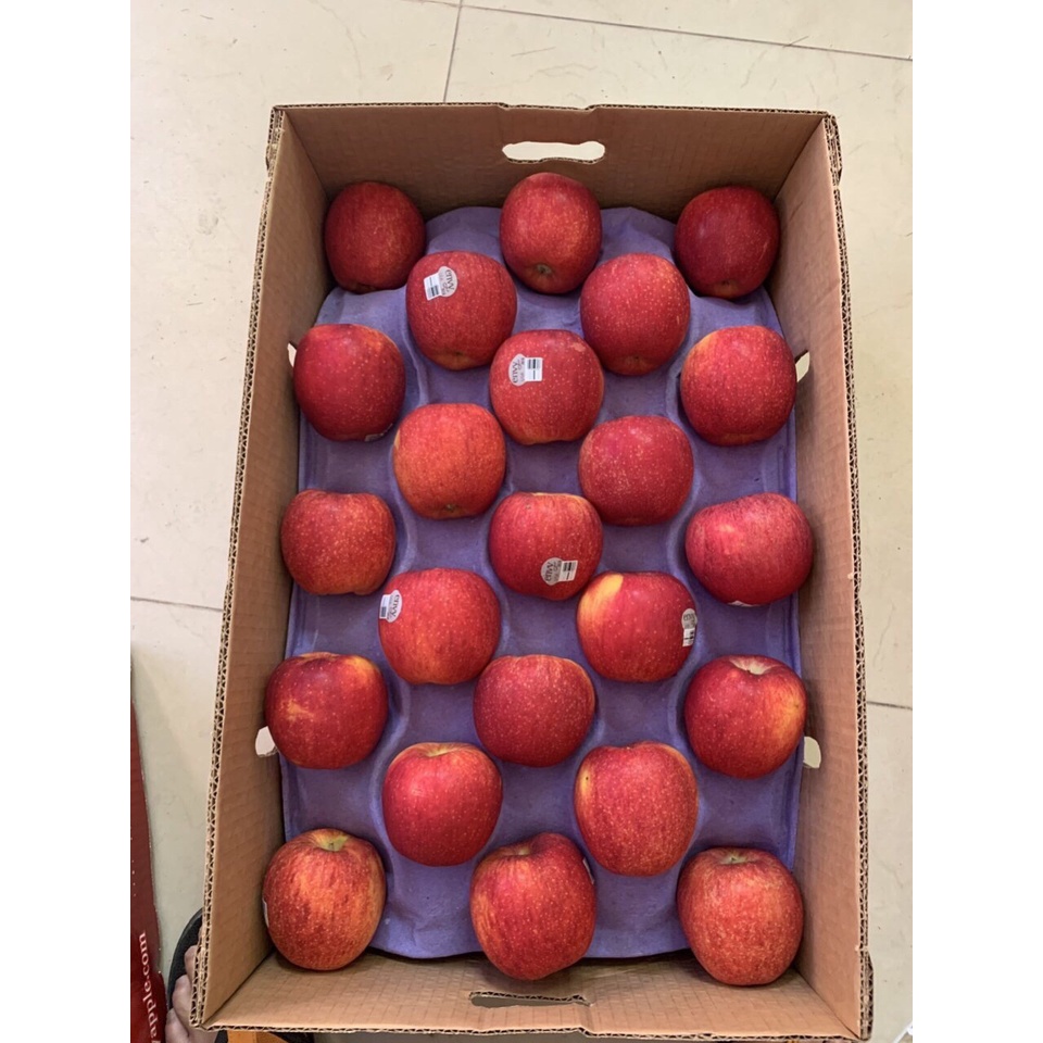 Jual Apel Merah / Apel Washington Fresh Manis 2 Karton | Shopee Indonesia