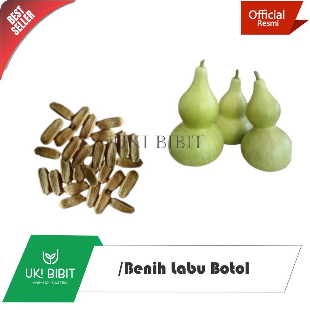 Jual ( 10 Butir ) Benih Labu Botol | Bottle Gourd | Lagenaria | Squash ...
