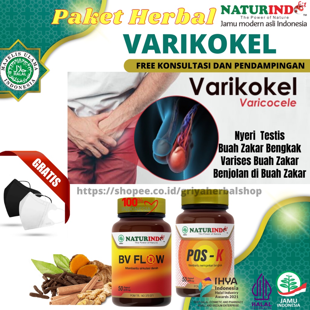 Jual Obat Varikokel Azoospermia Turun Berok Obat Hernia Obat Buah Zakar ...