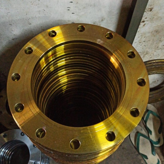 Jual Ringplat Flange Las Jis 10K Ns 8 Inch | Shopee Indonesia