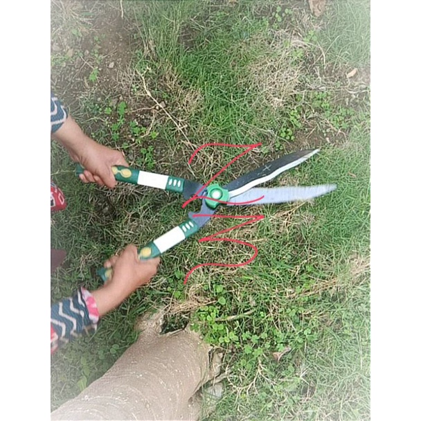 Jual Gunting Dahan Dan Ranting Tanaman | Shopee Indonesia