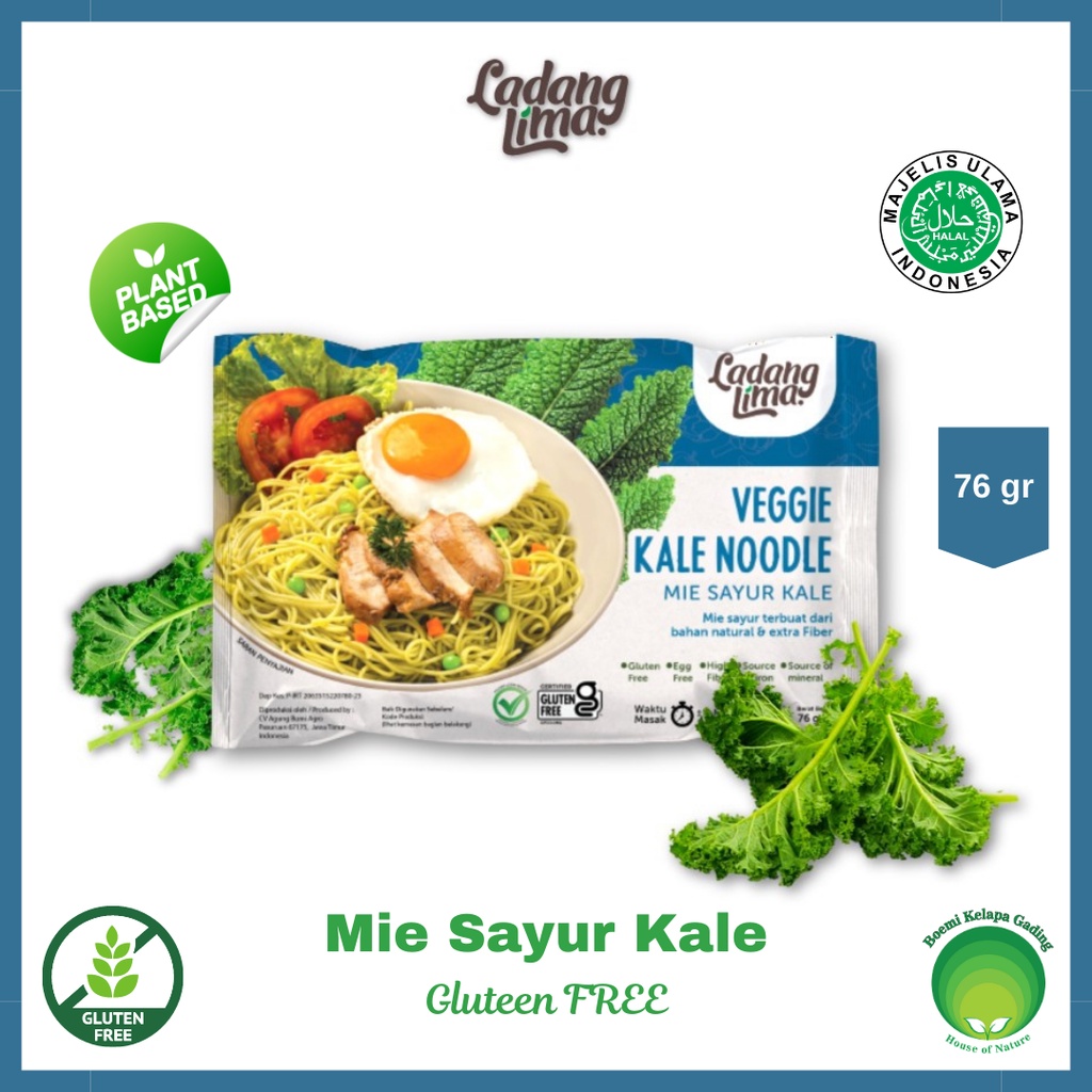 Jual Ladang Lima Mie Sehat Sayur Kale Gluten Free Veggie Noodle 76 gram Halal | Shopee Indonesia