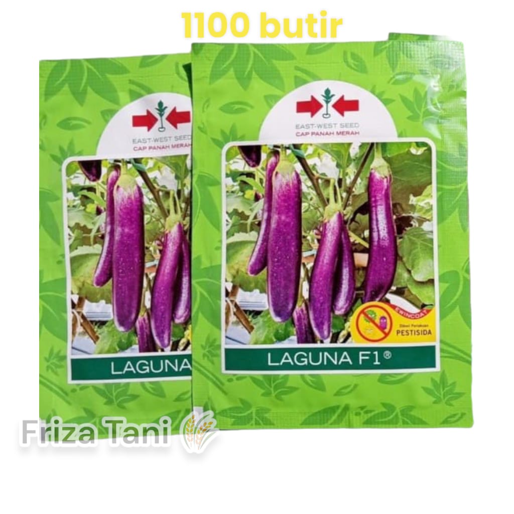 Jual Benih Terong Ungu Laguna f1 isi 1100 biji 100% Original panah Merah | Shopee Indonesia