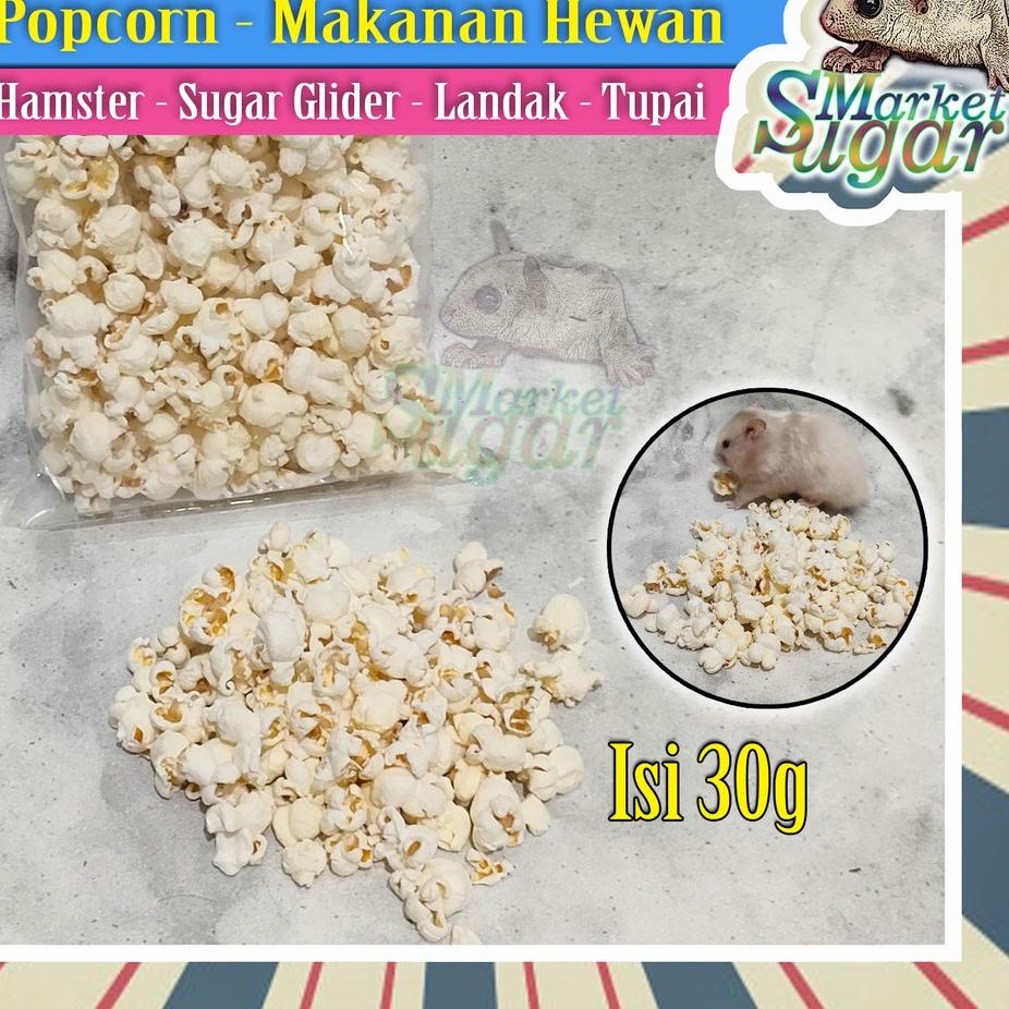 Jual Promosi Spesial Popcorn Snack Hewan Sugar Glider - Hamster ...