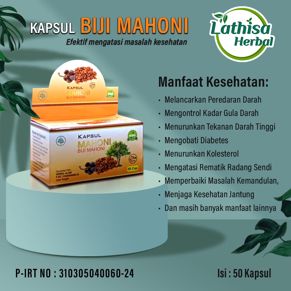 Jual Biji Mahoni Kapsul 50 Kapsul Biji Mahoni Obat Herbal Alami ...