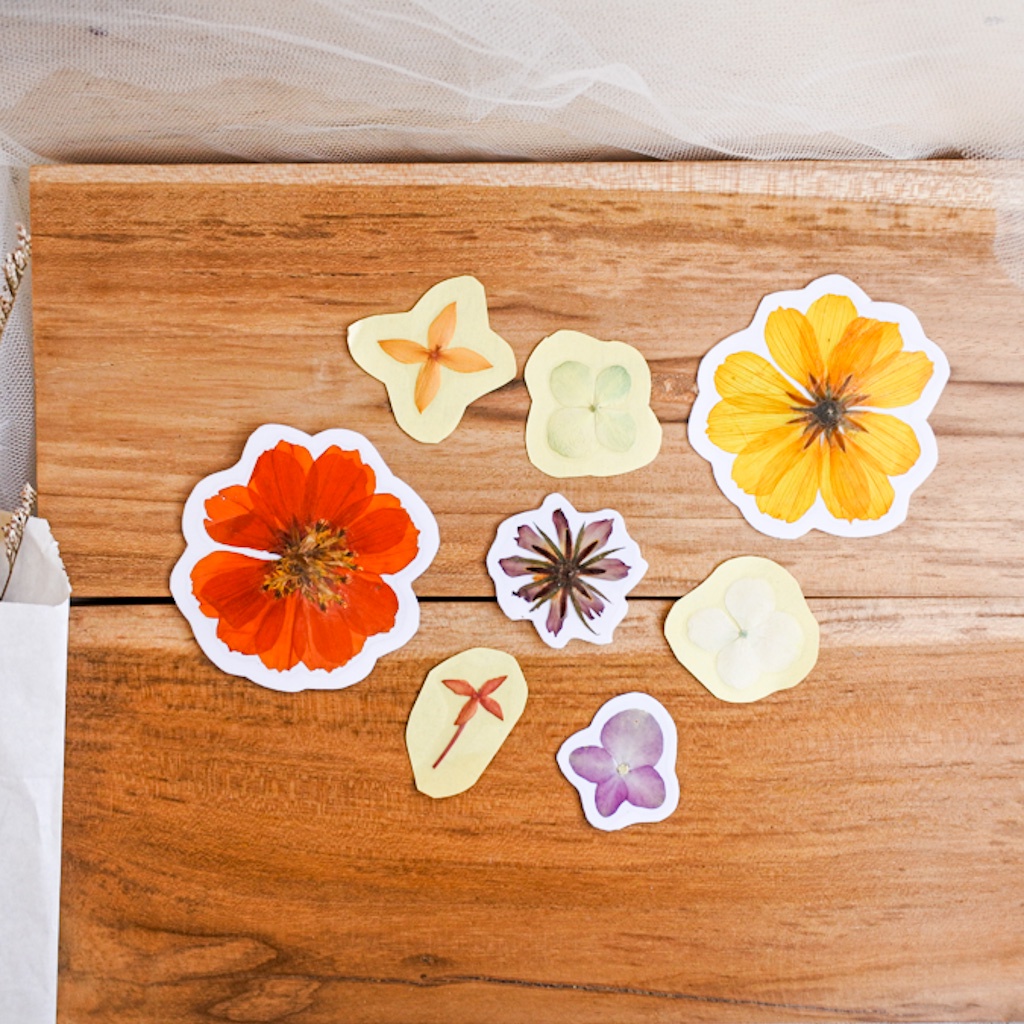 Jual Sticker Bunga Asli dan Print by Herbaria | Shopee Indonesia