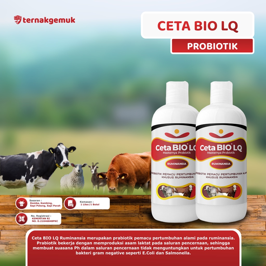 Jual PROBIOTIK PENGGEMUK SAPI BABI KAMBING CETA BIO LQ OBAT MENCRET ...