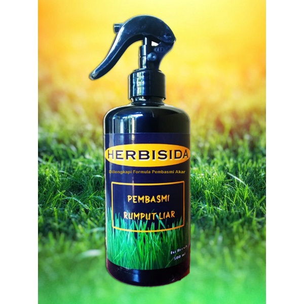 Jual HERBISIDA 500ml - racun rumput mati akar / pembasmi rumput liar ...