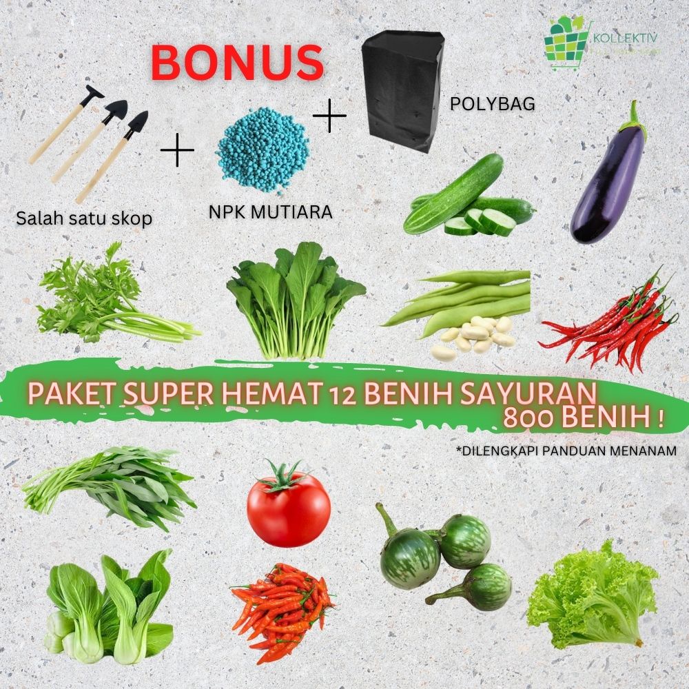 Jual Bibit Sayuran / Benih Sayuran Paket isi 12 + Bonus | Shopee Indonesia