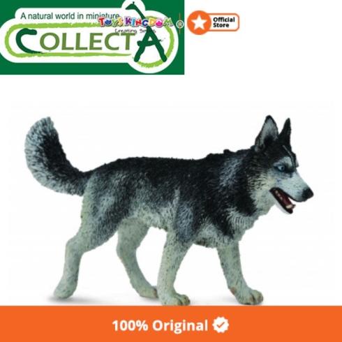Jual COLLECTA FIGURE SIBERIAN HUSKY 88707 . | Shopee Indonesia
