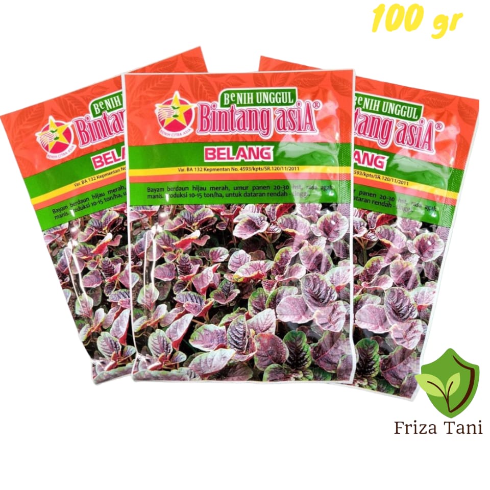 Jual Benih Bibit Bayam BELANG 100gr Bayam Unggul Berdaun Hijau Merah ...