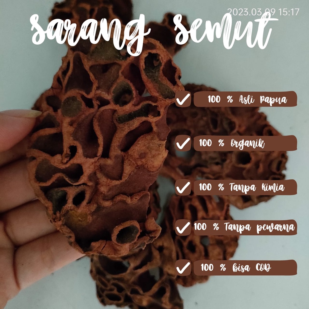 Jual sarang semut papua original 100 gram | Shopee Indonesia