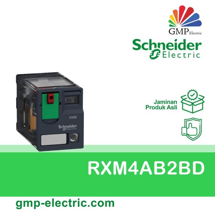 Jual RXM4AB2BD Relay Schneider 4 C/O 14pin 24VDC 6A | Shopee Indonesia