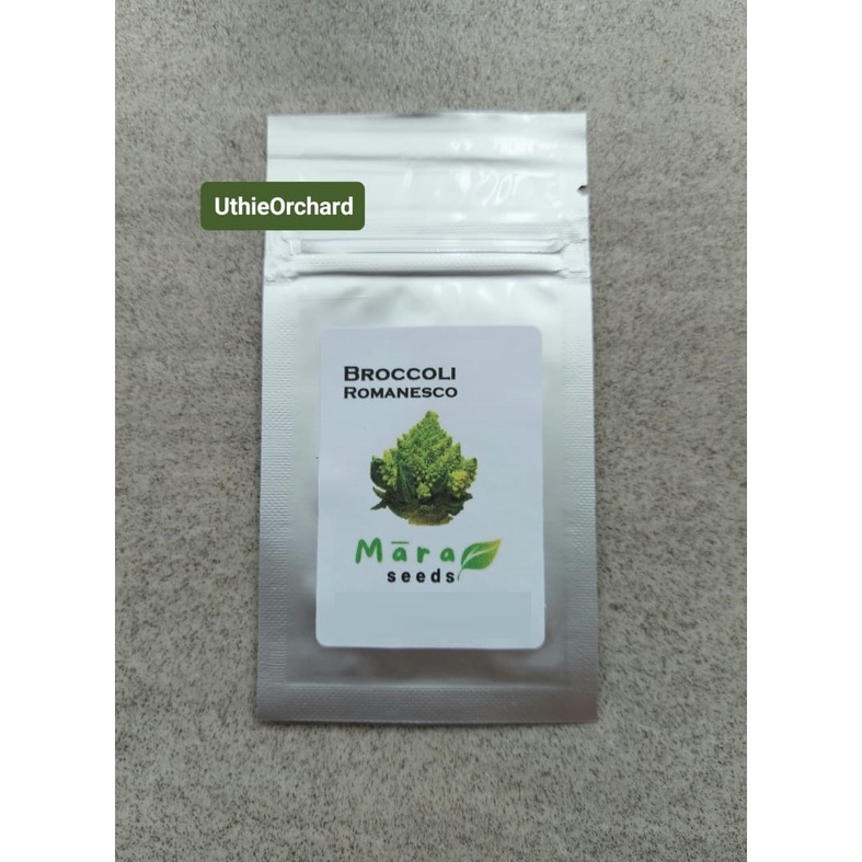 Jual Mara Seeds - Broccoli (Brokoli) Romanesco (125 Seeds) | Shopee ...