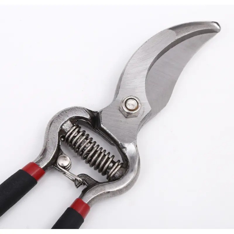 Jual GUNTING DAHAN SUPER KUAT || Alat Pemotong Tangkai Pohon Tanaman ...