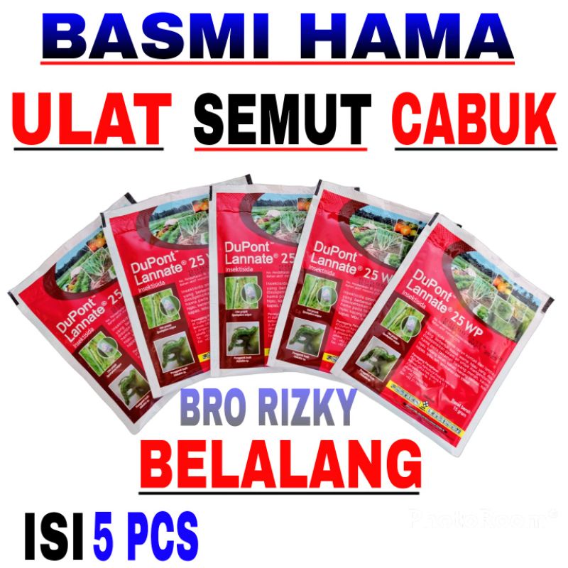 Jual INSEKTISIDA LANNATE 25WP 15gram ISI 5 PCS - BASMI HAMA SEMUT ...