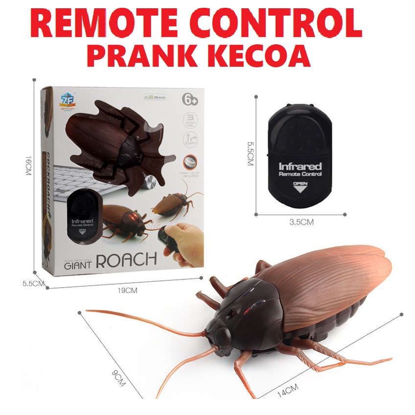 Jual BIG KECOA JUMBO / MAINAN ANAK REMOTE CONTROL RC SPIDER -- LABA ...