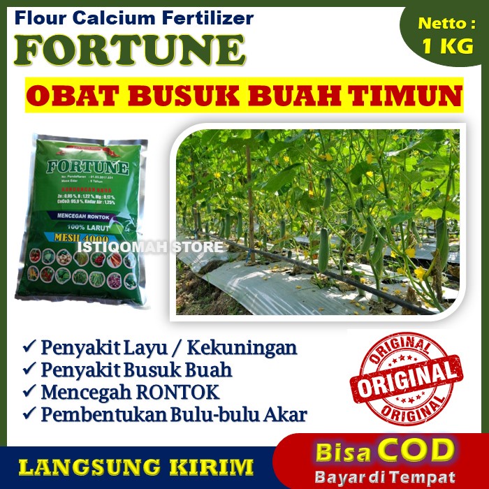 Jual Pupuk Kalsium FORTUNE 1 KG Obat Busuk Buah Timun Yang Bagus - Obat ...