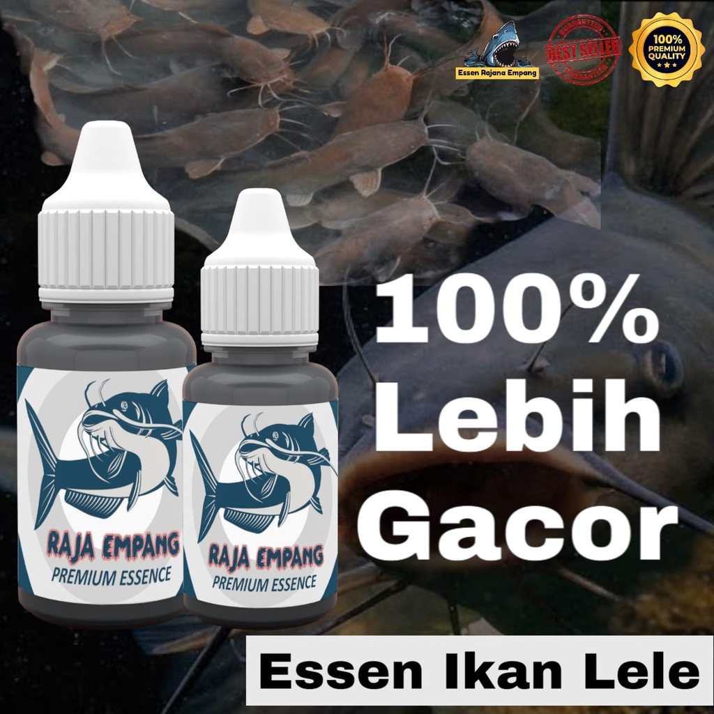 Jual 30 ML ESSEN RAJA EMPANG PREMIUM IKAN MAS GALATAMA, IKAN NILA LIAR ... Jual 30 ML ESSEN RAJA EMPANG PREMIUM IKAN MAS GALATAMA, IKAN NILA LIAR ...