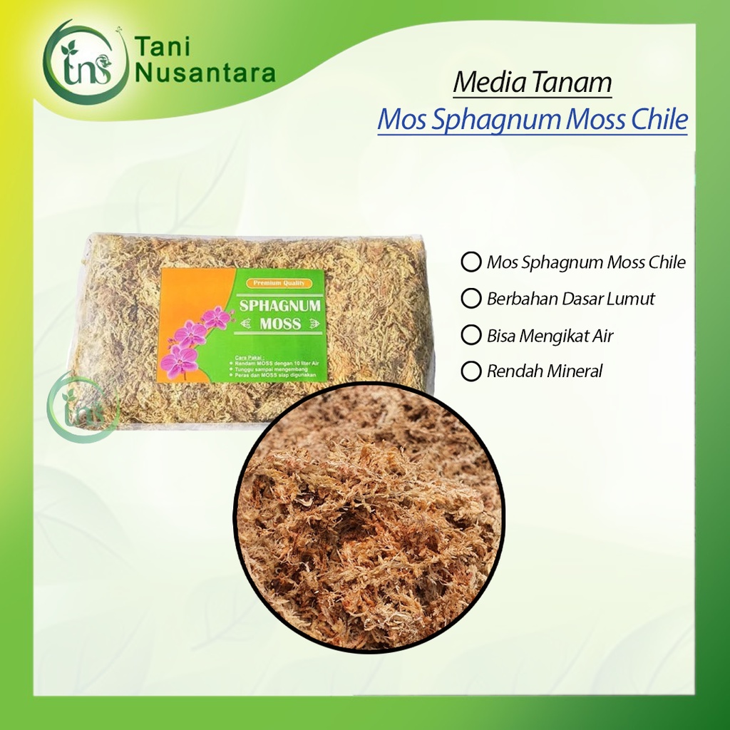 Jual Media Tanam Sphagnum Moss Premium 30gr - Lumut Organik | Shopee ...