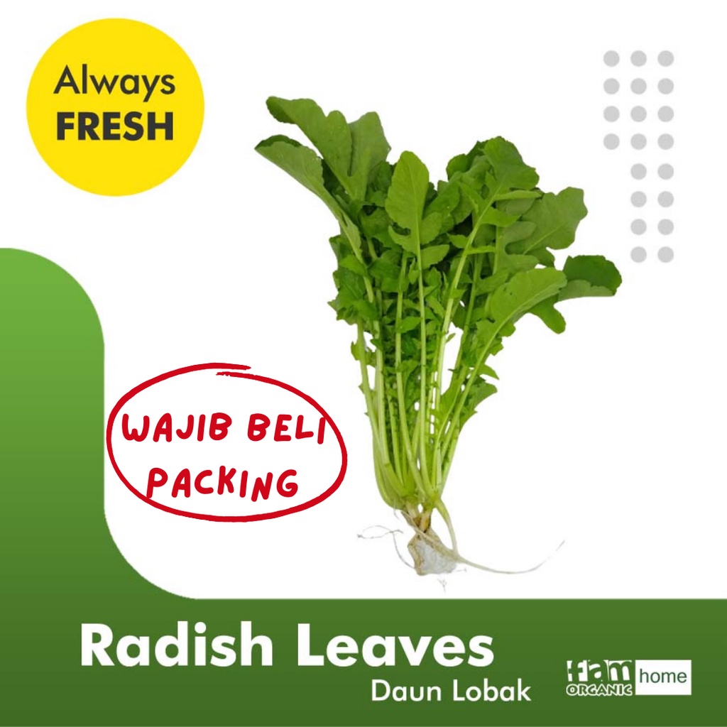 Jual Daun Lobak Radish Leaf Sayur Segar Fresh Vegetable FAM Organik ...