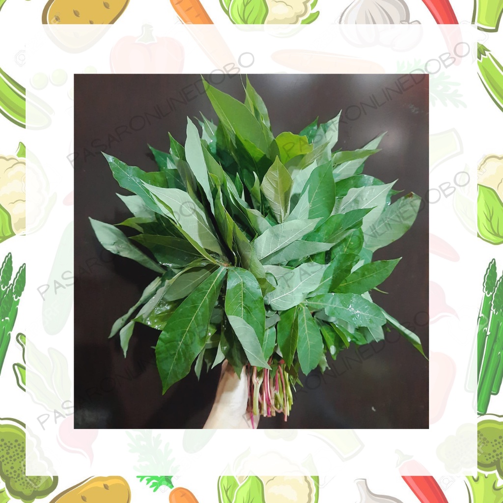 Jual Daun Singkong/Daun Ubi | Shopee Indonesia