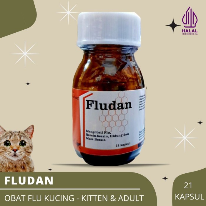 Jual Obat Kucing Fludan isi 21 Kapsul Mengobati Flu pada Kucing dengan ...