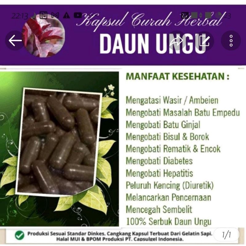 Jual daun ungu 100 kapsul curah herball isi 100 | Shopee Indonesia