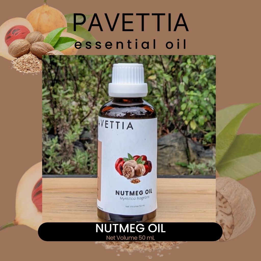 Jual 50 ml - Nutmeg oil / minyak pala (Myristica fragrans) | Shopee ...