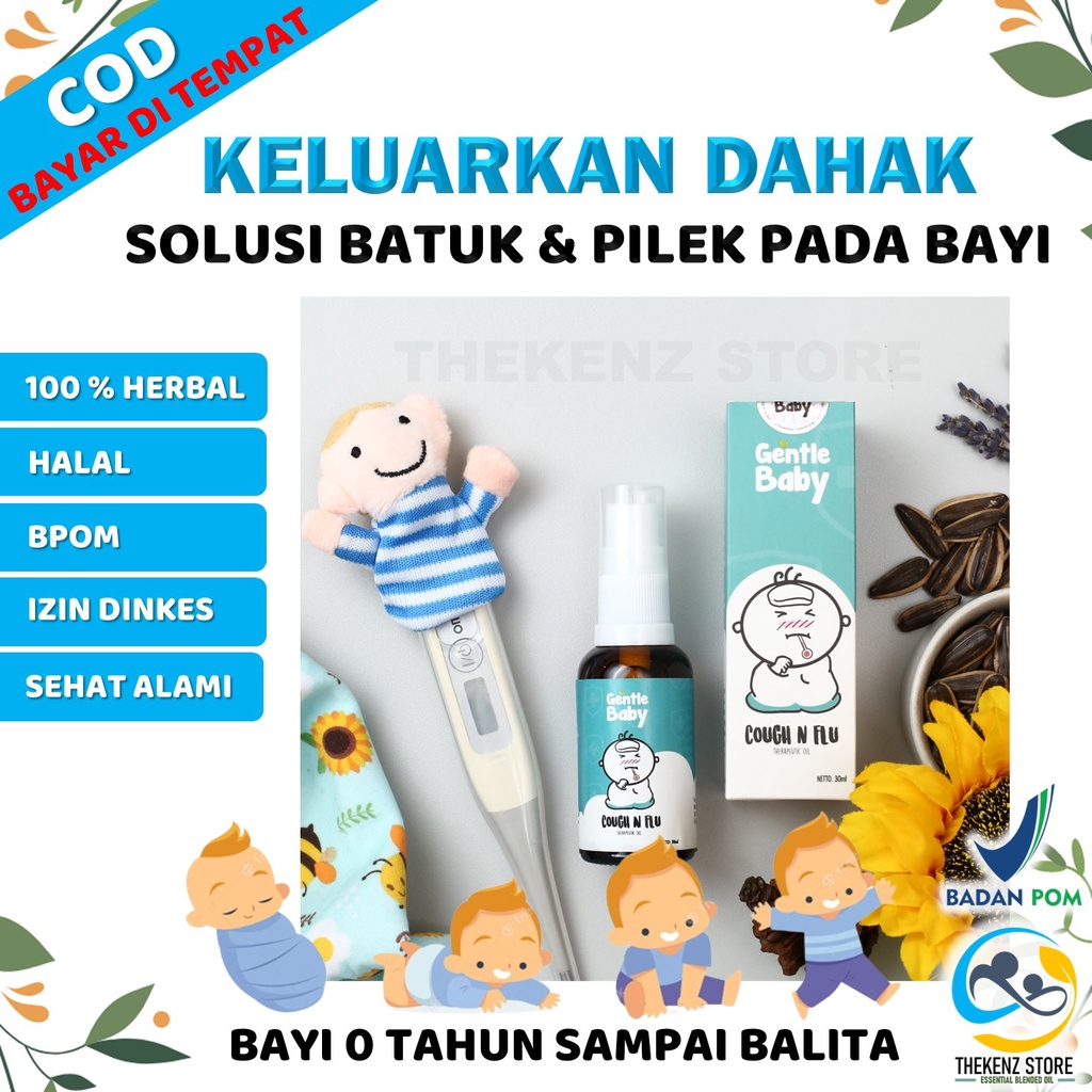 Jual Gentle Baby Essential Oil Oles Obat Cough n Flu dan Batuk Pilek ...